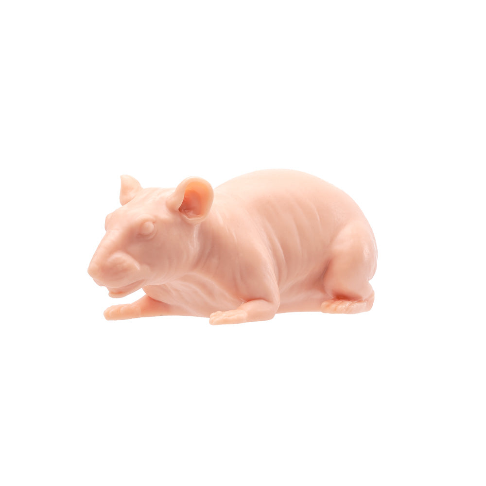 A Pound of Flesh Tattooable Naked Rat | A Pound of Flesh